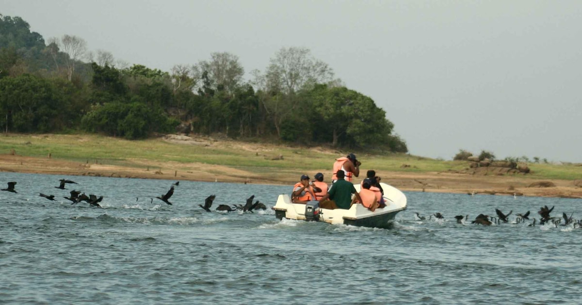 Sri Lanka: Gal Oya National Park Overnight Tour | GetYourGuide
