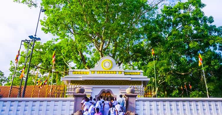 The BEST North Western Province, Sri Lanka Tours and Things to Do in ...