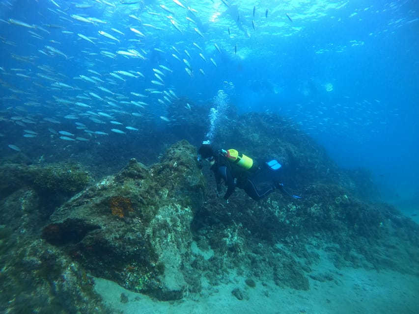 Lanzarote: Introductory Diving in Costa Teguise | GetYourGuide