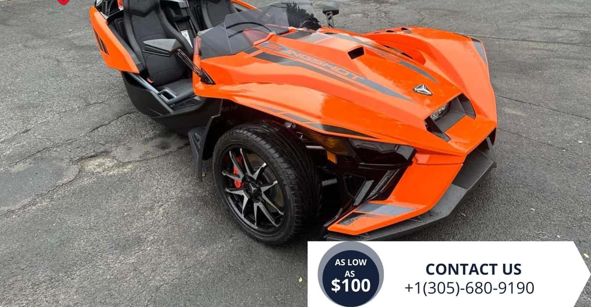 Springfield Ct: Orange Slingshot 4HRS | GetYourGuide