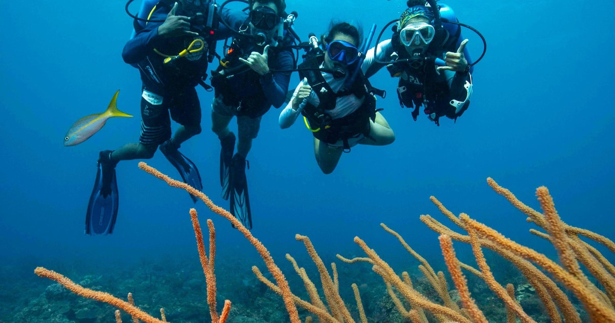 Scuba Diving Experience for Beginners In Greece | GetYourGuide