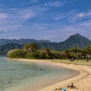 From Honolulu: Epic Island Tour | GetYourGuide