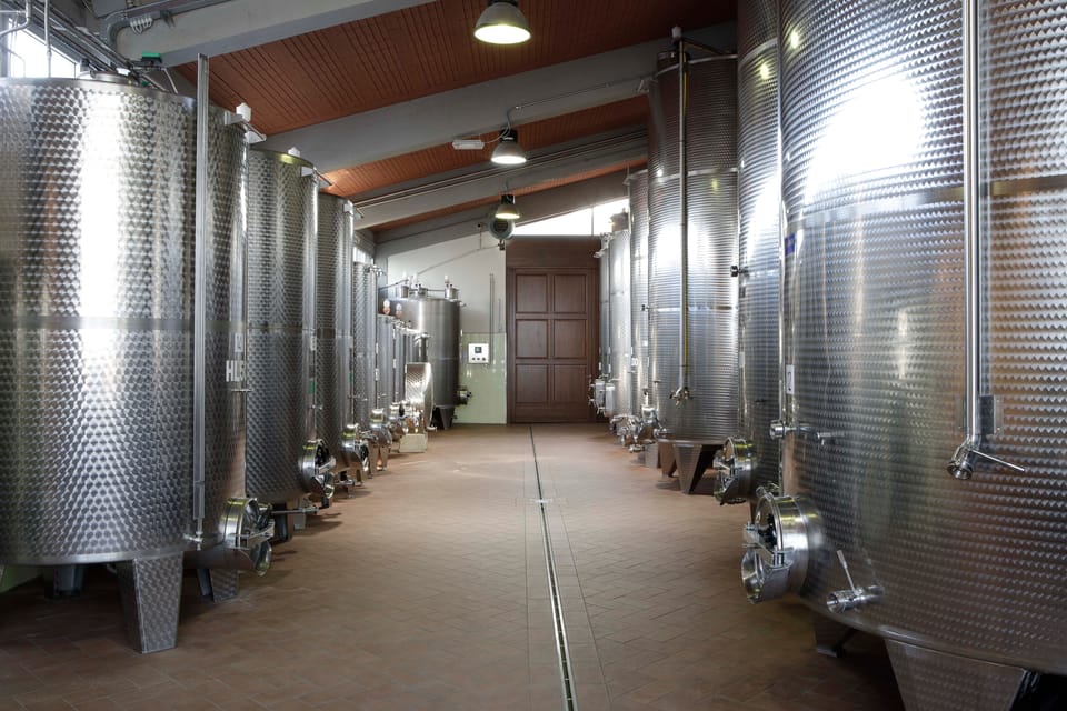 Chianti: Cata y Visita Guiada a la Bodega Terre Di Perseto | GetYourGuide