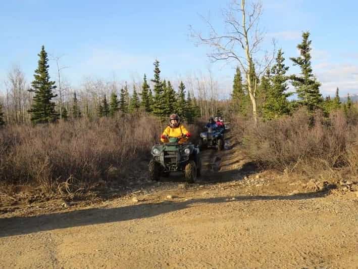 Denali: Single Rider ATV Adventure with Optional Meal | GetYourGuide
