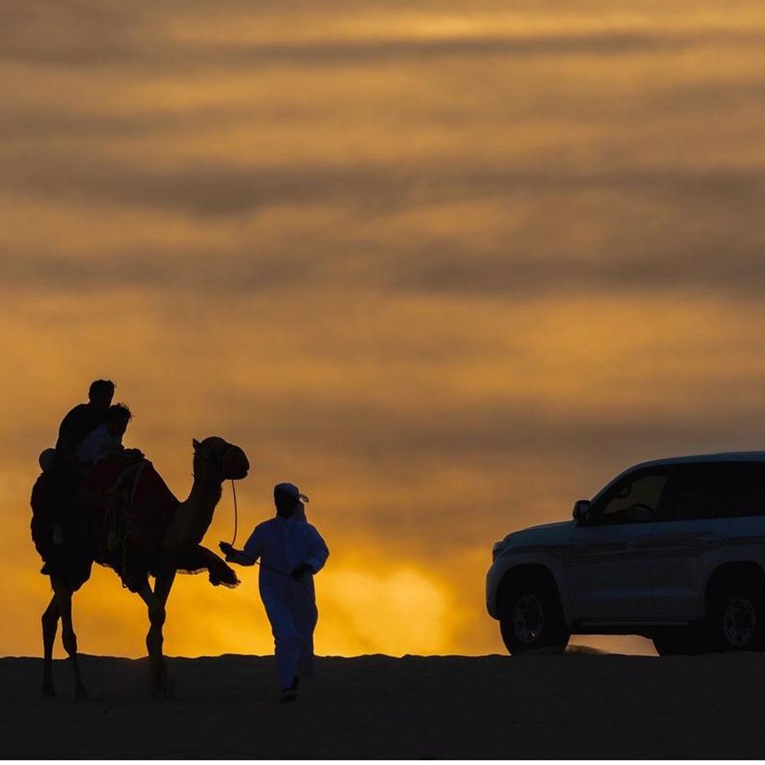 Doha Night Desert Safari Stargazing And Camel Ride | GetYourGuide