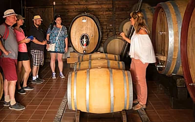 Naples: Vesuvius & Wine Tasting Trip w/ Volcanological Guide | GetYourGuide