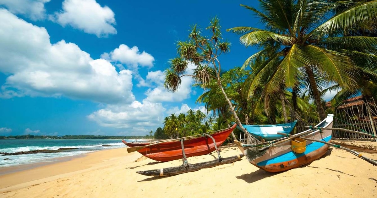 6-Day Coastal Honeymoon Tour | GetYourGuide