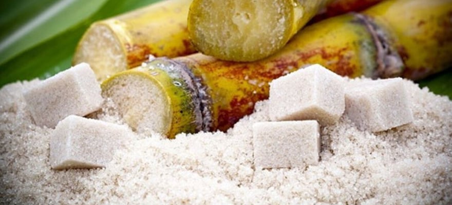 The BEST San Juan, Puerto Rico Sugar factory tours 2024 - FREE ...