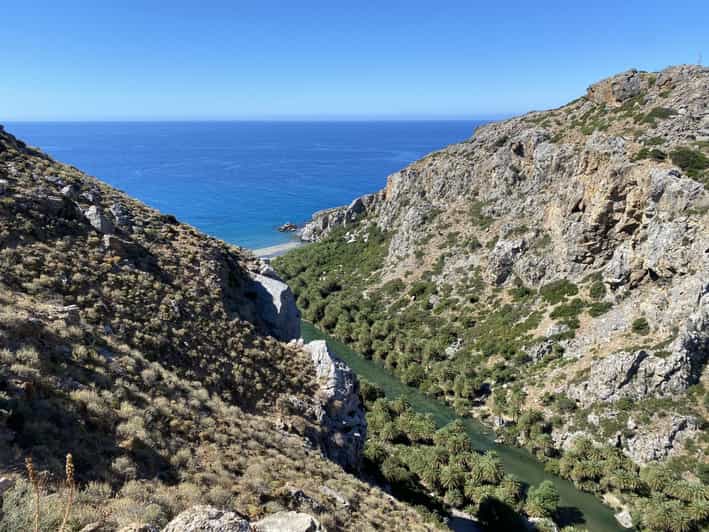 Desde Rethymno Excursión de un día al bosque de palmeras de Preveli y a ...