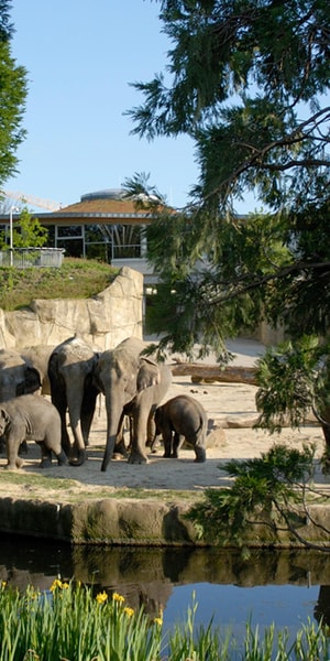 Cologne: Cologne Zoo and Aquarium Entry Ticket | GetYourGuide