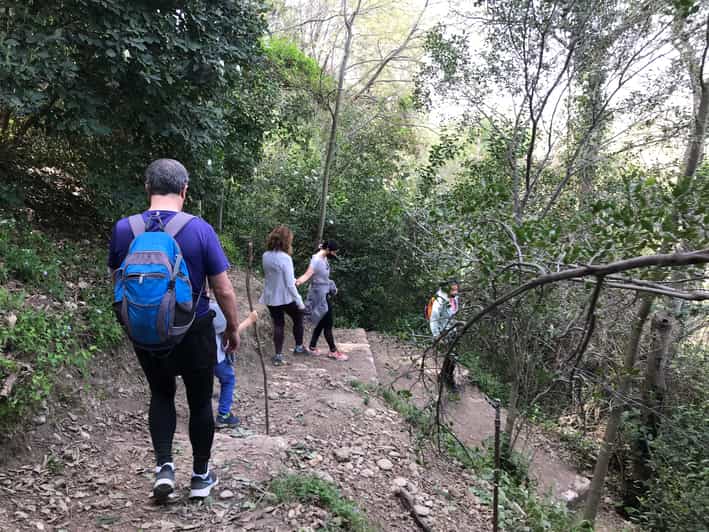 Granada: Hiking Tour Through Alhambra’s Natural Highlights | GetYourGuide