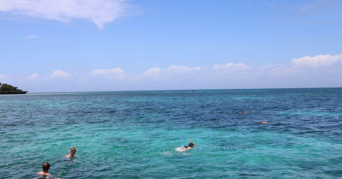 Tumbatu island snorkling tour : from Kendwa & Nungwi | GetYourGuide