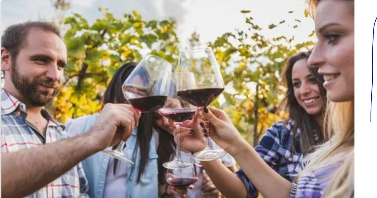 Hermanus Half Day Tour plus Penguins tour from Cape Town | GetYourGuide