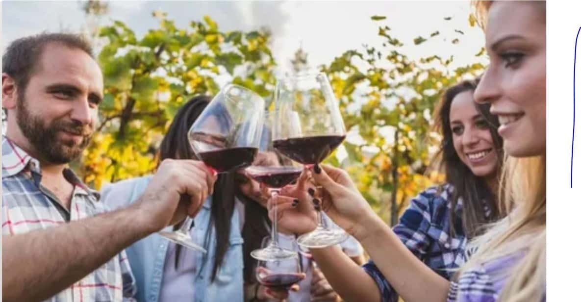 Hermanus Half Day Tour plus Penguins tour from Cape Town | GetYourGuide