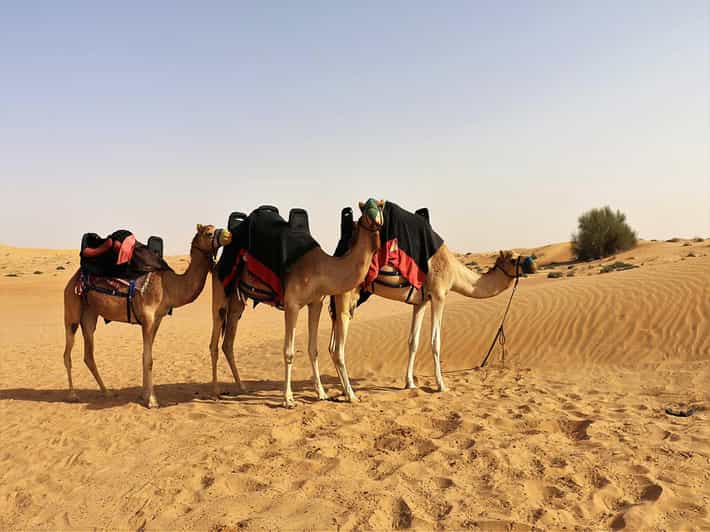 Dubai: Private Morning Hummer Desert Safari Experience | GetYourGuide