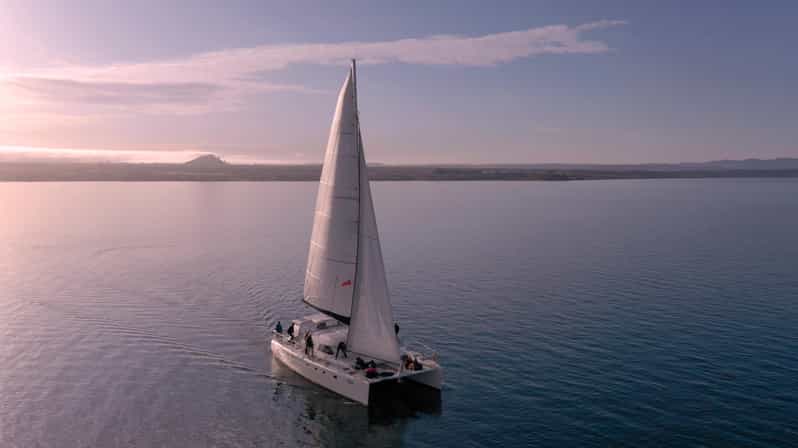 Taupo: Māori Rock Carvings Lake Taupo Catamaran Tour | GetYourGuide