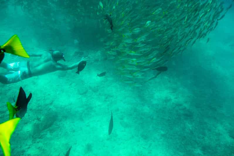 Los Cabos: Chilena & Santa María Bay Private Snorkeling Tour | GetYourGuide