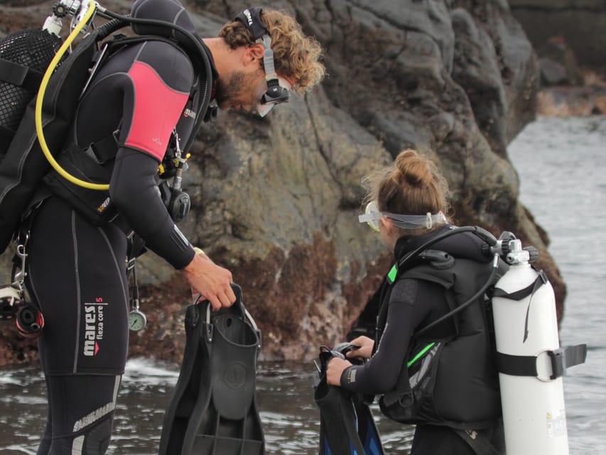La Palma: SSI Try Scuba Program | GetYourGuide