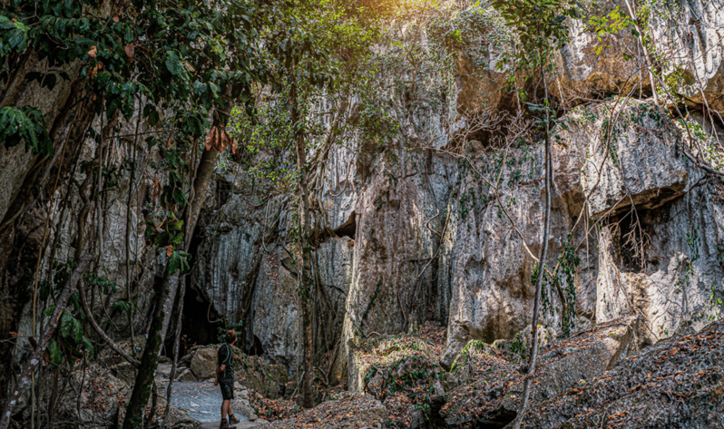 Queensland: 90 Minute Capricorn Caves Explorer Tour | GetYourGuide