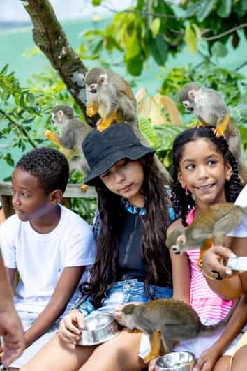 Punta Cana: Monkeyland Half-Day Tour with Snacks and Guide | GetYourGuide