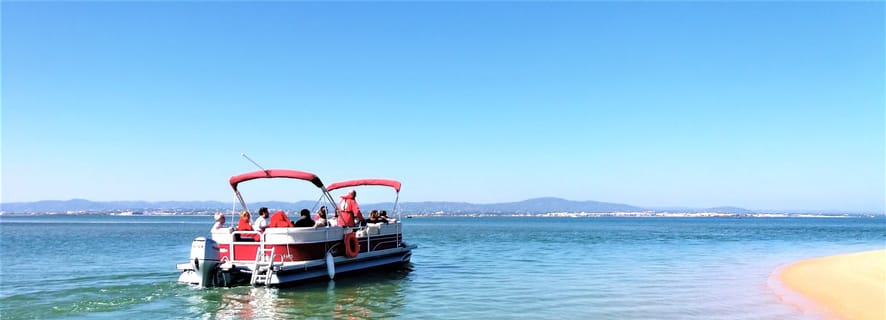 The BEST Faro Tours and Things to Do in 2022 - FREE Cancellation ...