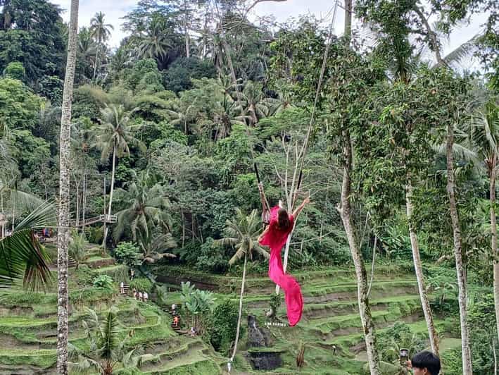 Ubud: 4 Hours Tour Swing Activities | GetYourGuide