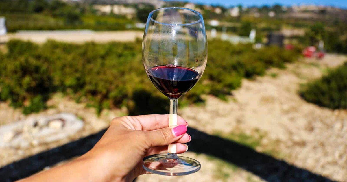 Paphos: Regional Wineries Tour with Wine Tastings | GetYourGuide