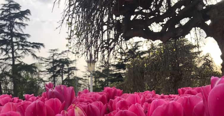 Istanbul: Turul lalelelor din Parcul Emirgan cu plimbare cu feribotul ...