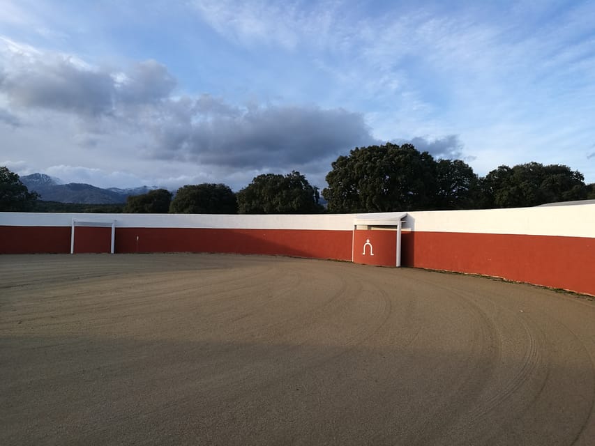 Madrid: Spanish Bull Ranch Half-Day Guided Tour | GetYourGuide