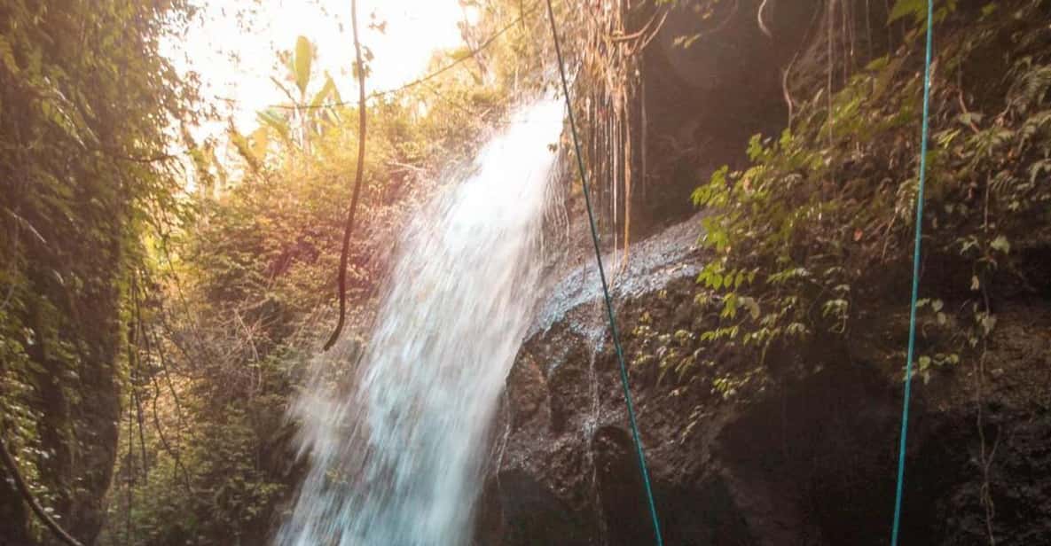 Bali: Best Ubud Hidden Waterfalls All-inclusive Tour | GetYourGuide