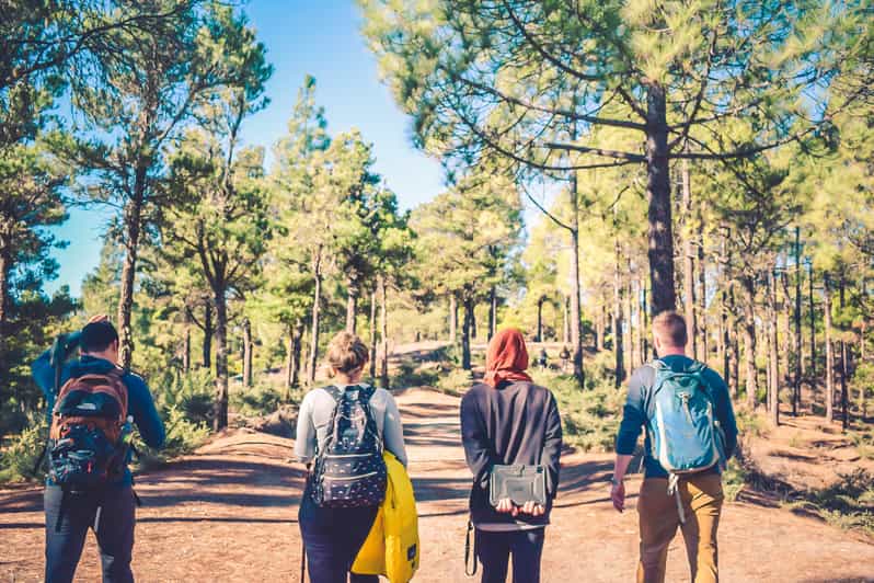 Gran Canaria: The Volcano Heart Tour & Local Food Tasting | GetYourGuide