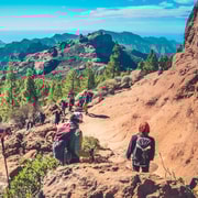 Gran Canaria: The Volcano Heart Tour & Local Food Tasting | GetYourGuide