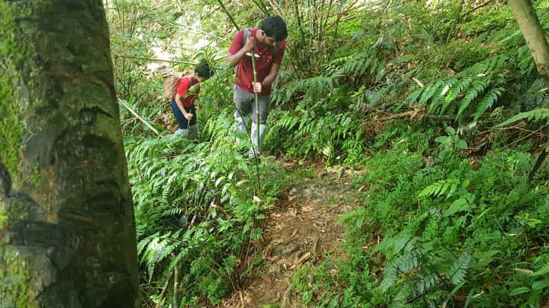 Kandy: Knuckles Mountain Range Day Hike | GetYourGuide
