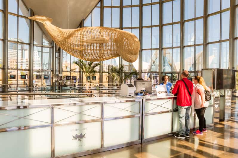 Valencia: Oceanogràfic Entry Ticket | GetYourGuide