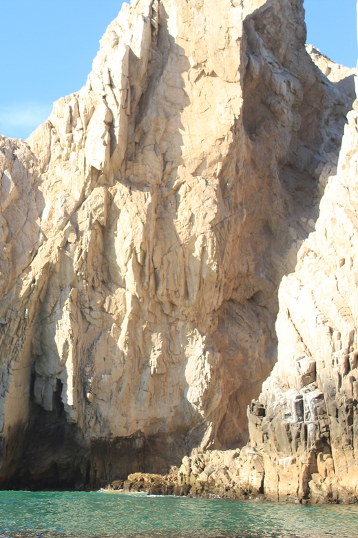 Cabo San Lucas: Up-Close Whale Watching Small-Group Tour | GetYourGuide