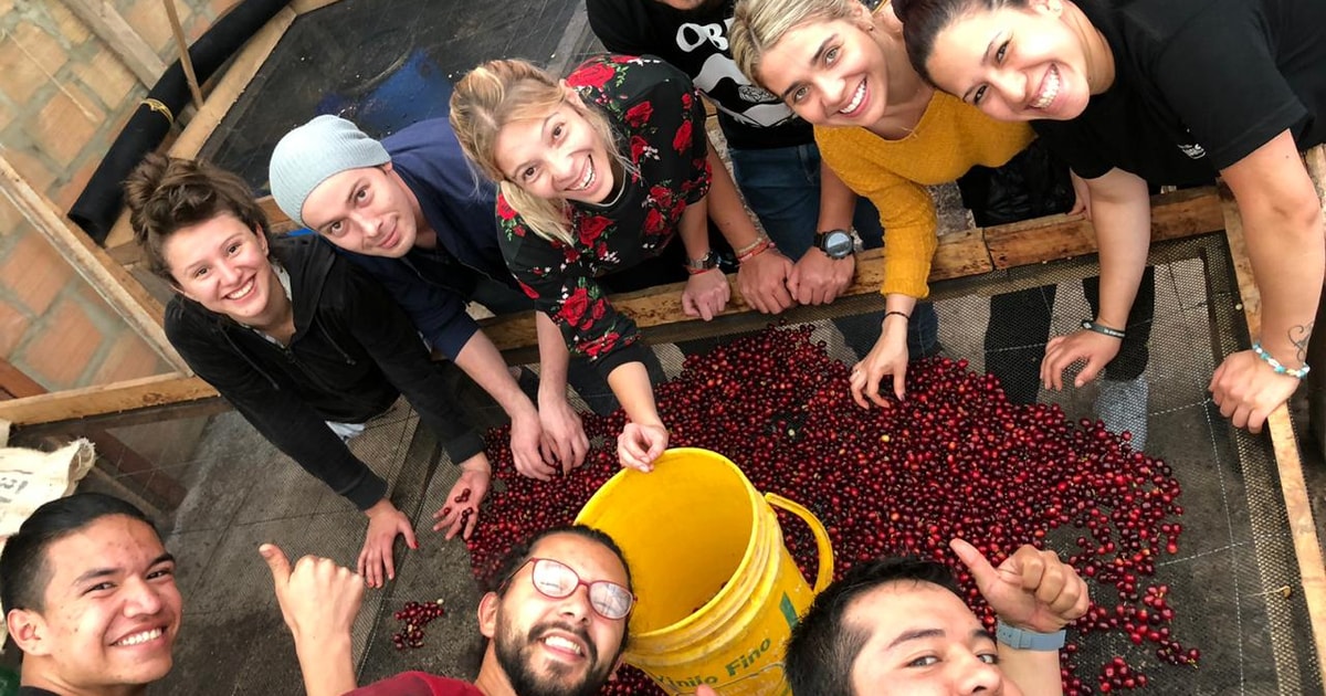 Salento: Coffee Farm Tour with Tasting | GetYourGuide