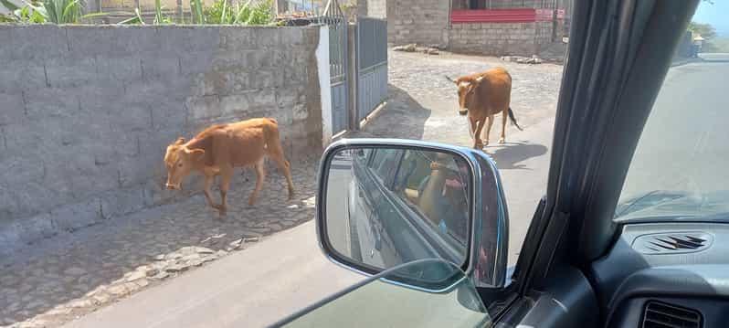 Cape Verde: Full-Day with Professional Taxi Driver | GetYourGuide