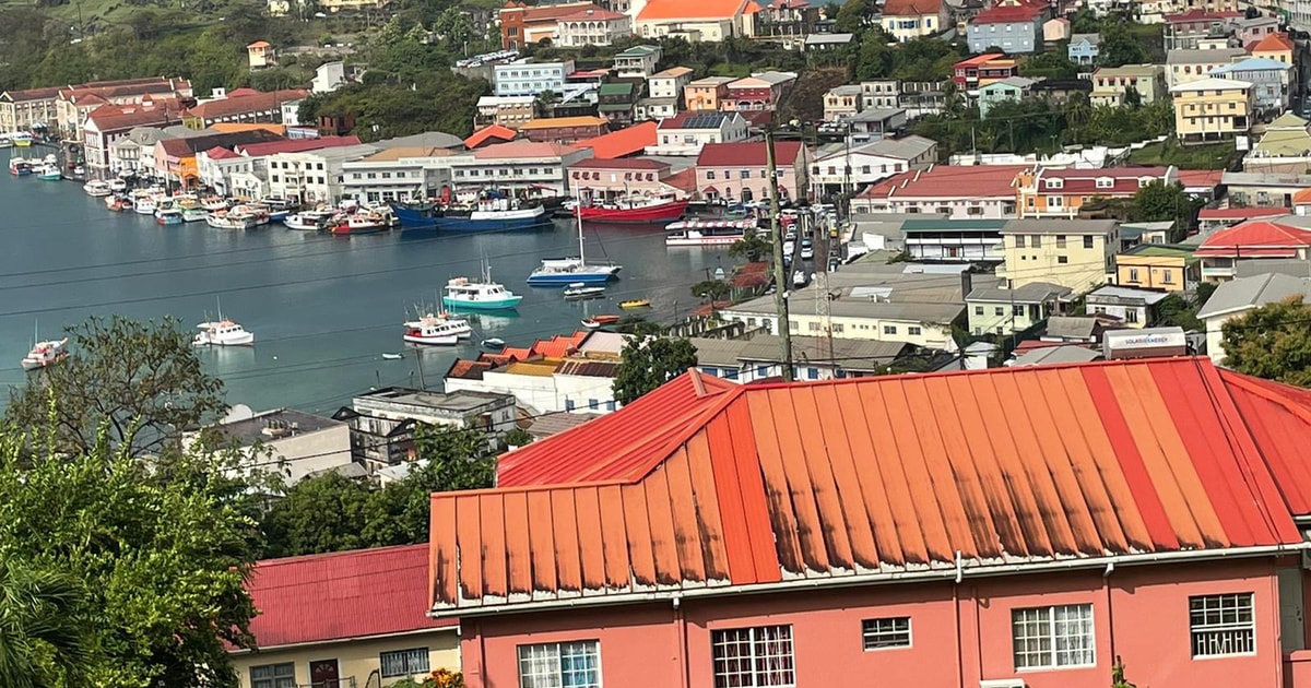 Granada: Tour de medio día por la isla con parada para nadar en la ...