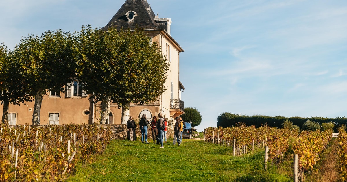 Von Lyon aus: Beaujolais Region Wein Tour mit Verkostungen | GetYourGuide