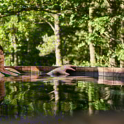 Rotorua: Secret Spot Hot Tubs | GetYourGuide