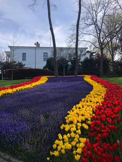 Istanbul: Turul lalelelor din Parcul Emirgan cu plimbare cu feribotul ...