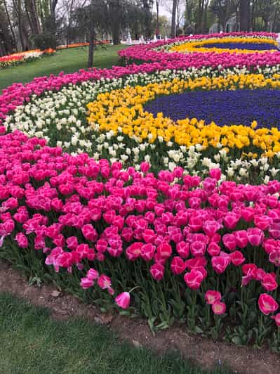 Istanbul: Turul lalelelor din Parcul Emirgan cu plimbare cu feribotul ...