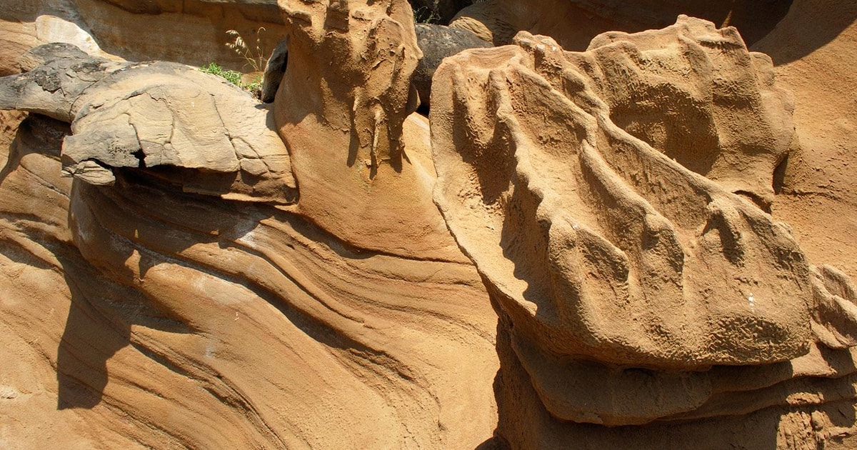 Parque Nacional Cerros de Amotape - En la naturaleza | GetYourGuide