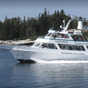 Boothbay: Lighthouses & Islands Harbor Cruise | GetYourGuide