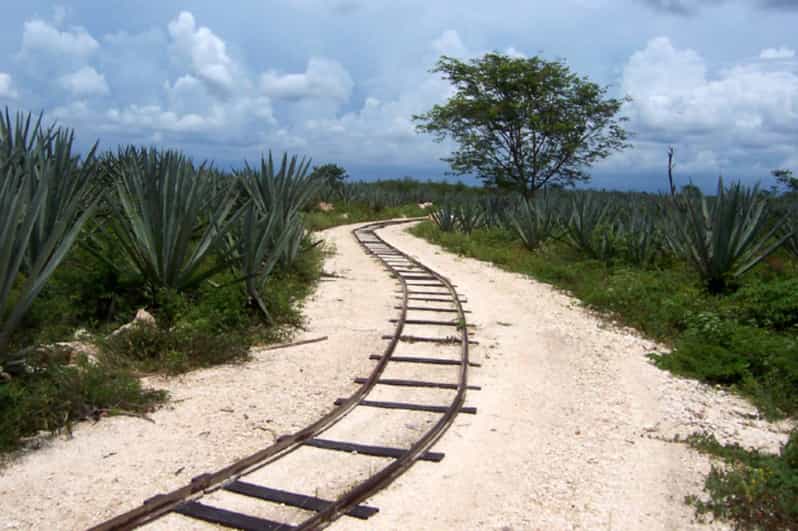 From Mérida: Hacienda Sotuta de Peón, Henequen & Cenote Tour | GetYourGuide