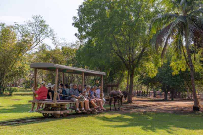From Mérida: Hacienda Sotuta de Peón, Henequen & Cenote Tour | GetYourGuide