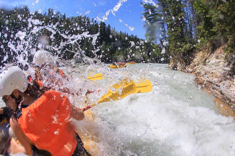 Golden, BC: Kicking Horse River Whitewater Raft Experience | GetYourGuide