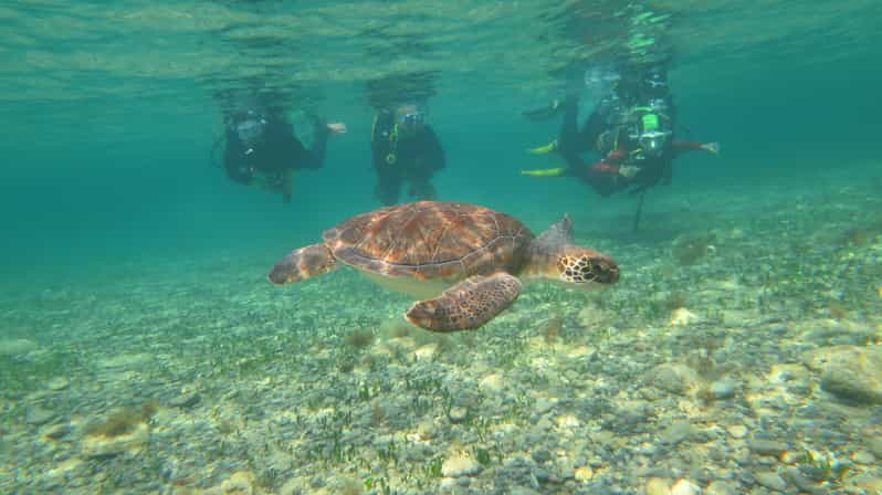 Paphos: Mediterranean Scuba Diving Half-Day Tour | GetYourGuide