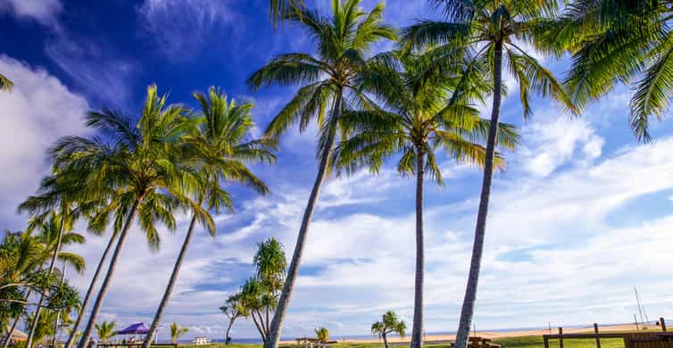 Moreton Island: Tangalooma Day Trip with Desert Safari | GetYourGuide