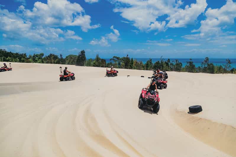 Moreton Island: Tangalooma ATV Quad Bike & Dolphin Feeding | GetYourGuide